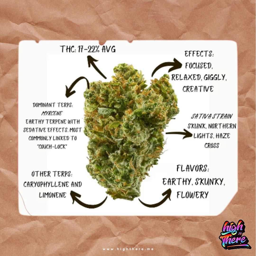 Super Silver Haze Strain Review – Aromas, Effects & Buying Guide