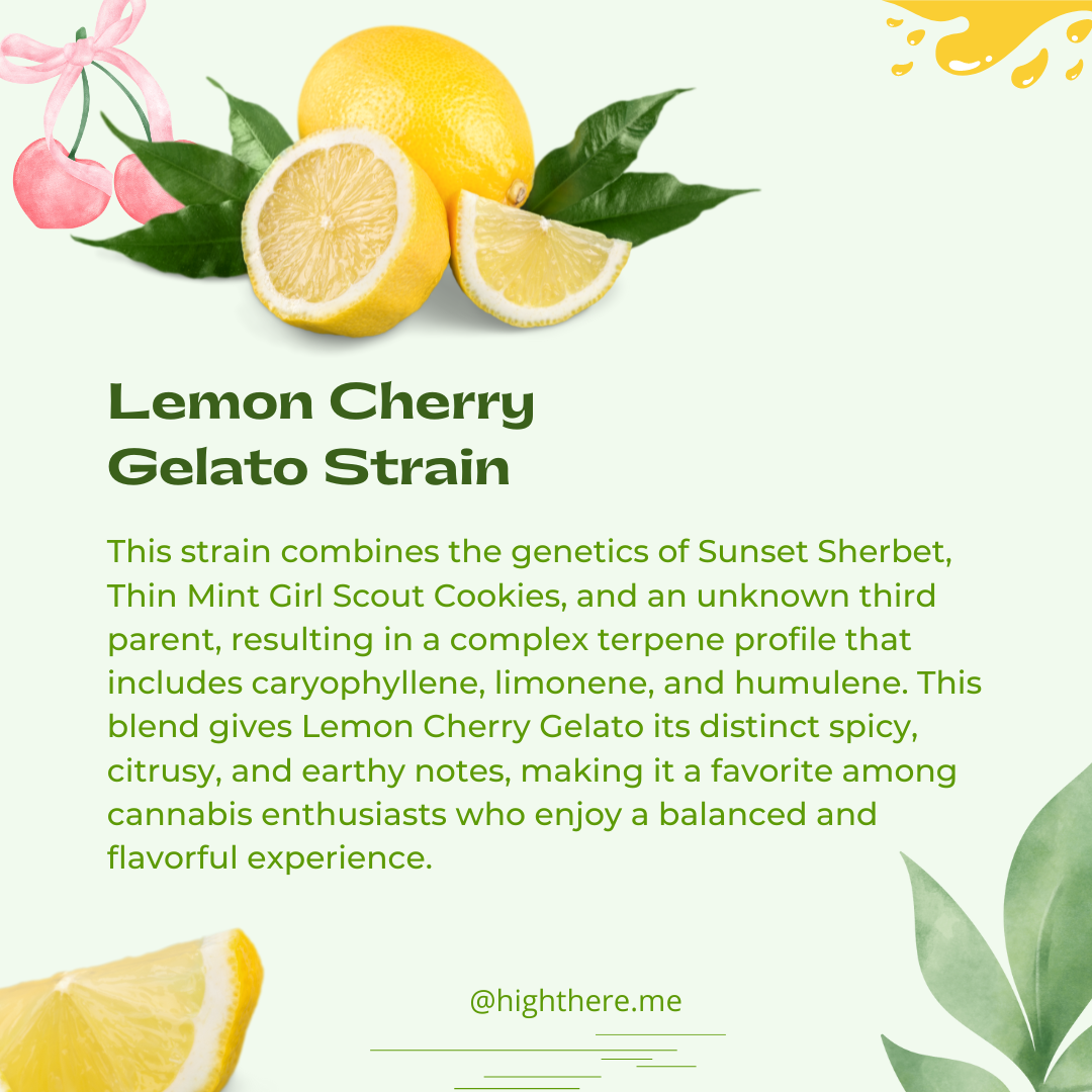 Lemon Cherry Gelato Strain - Hybrid with Sweet, Fruity Flavors