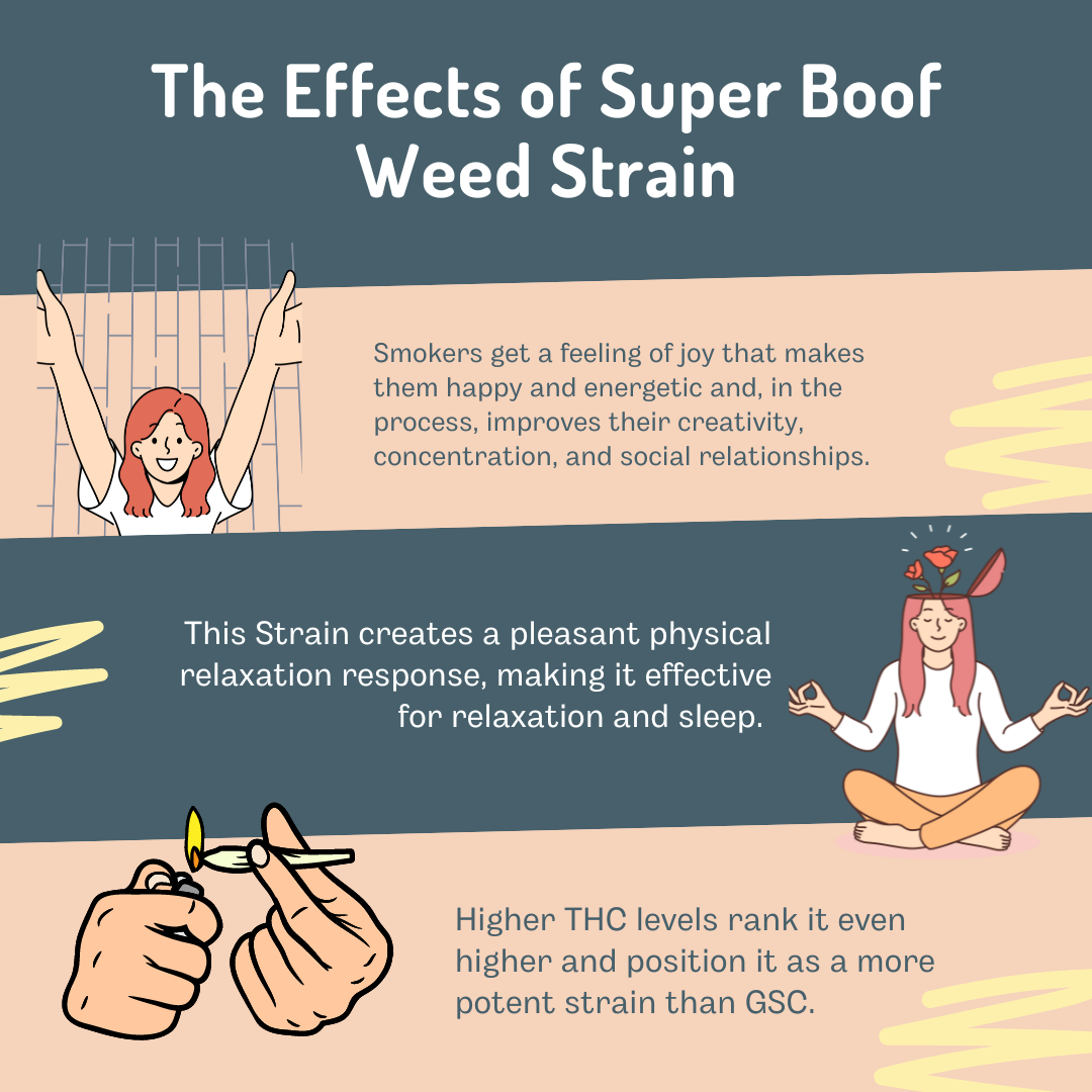 Super Boof Strain - Reviews & Effects | Potent for Relaxation