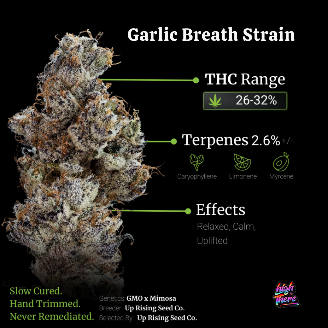 Garlic Breath Weed Strain | Bold Aroma & Calming Effects