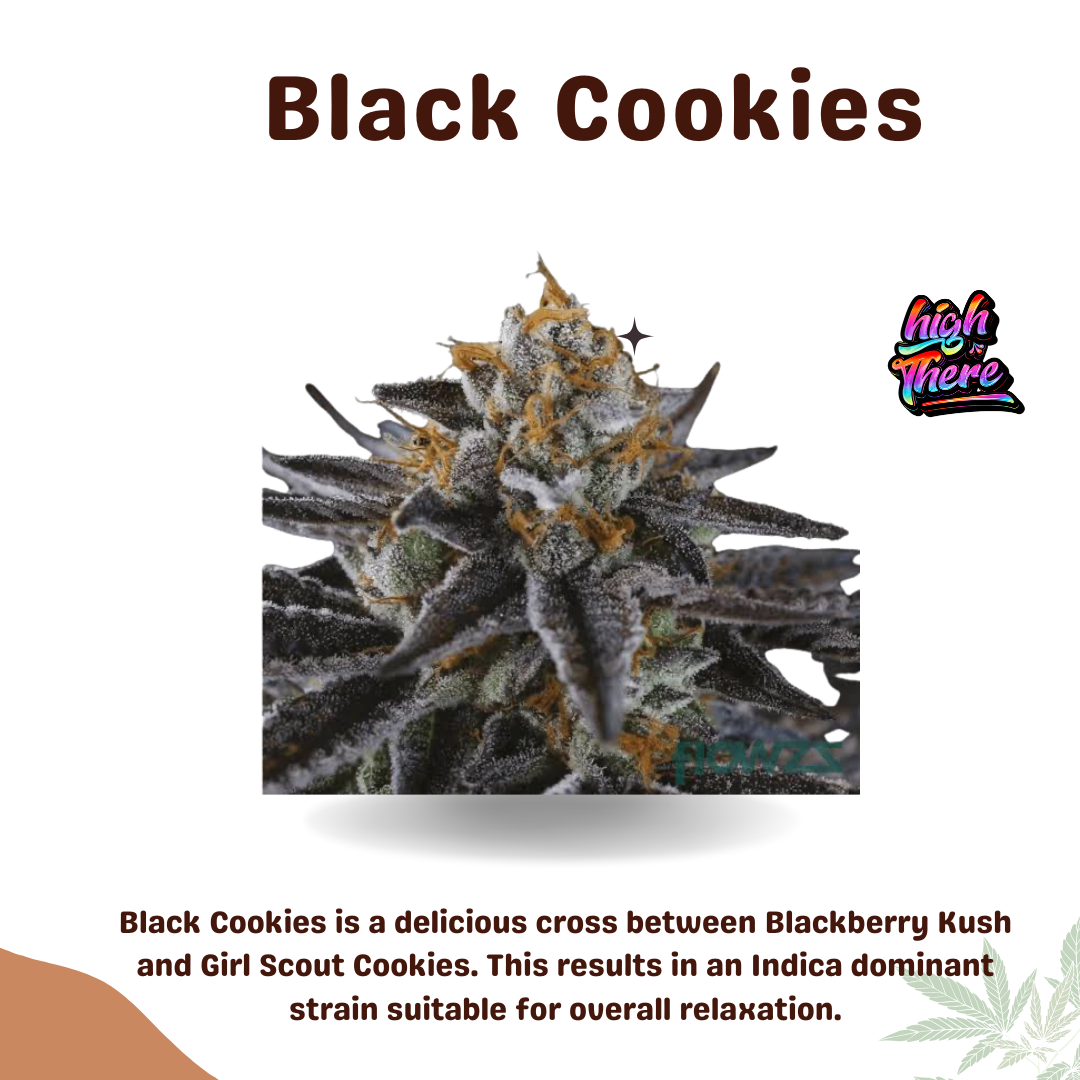 Black Cookies Strain – Flavor, Effects, and Benefits