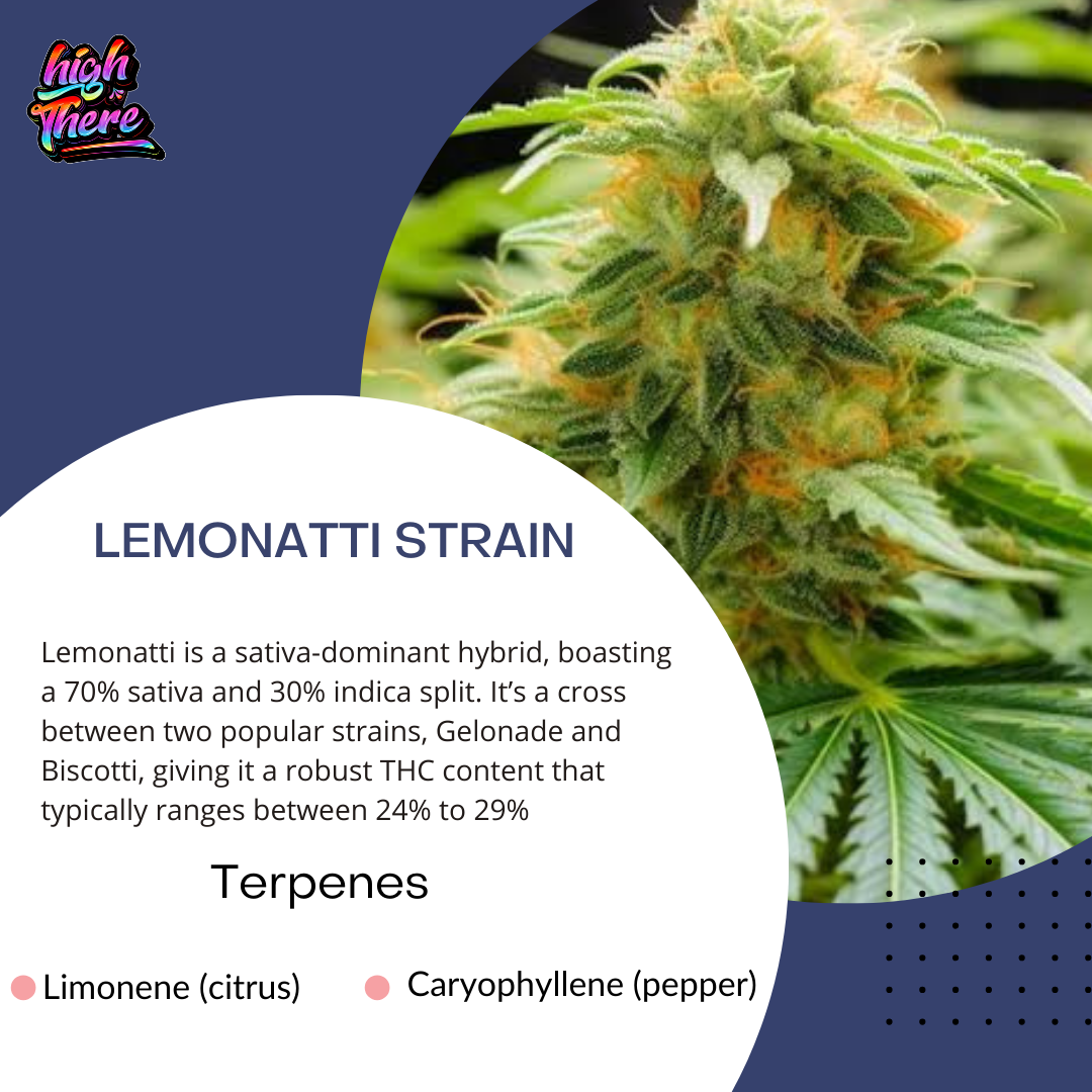 Lemonatti Strain Review | Effects & Where to Buy