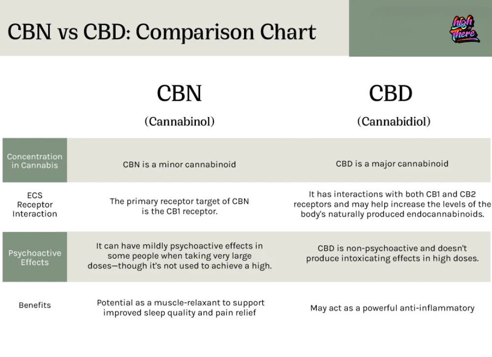 CBD Vs CBN Key Differences Benefits And Uses Explained CBD Vs CBN Key Differences Benefits And Uses Explained