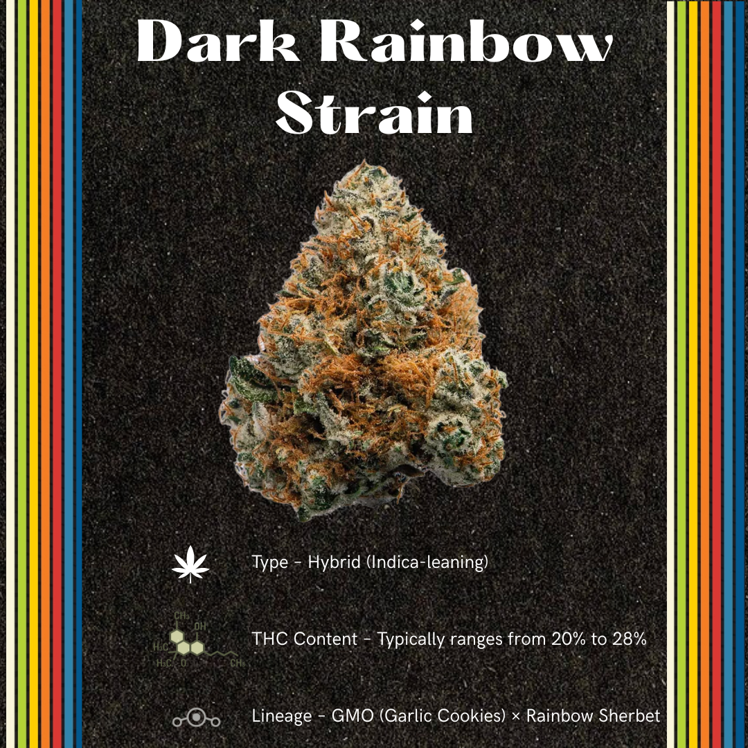 Dark Rainbow Strain: Hybrid Perfection in Every Puff